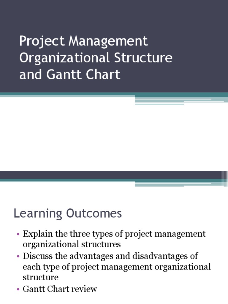 Project Management Organizational Structure and Gantt Chart | Download ...