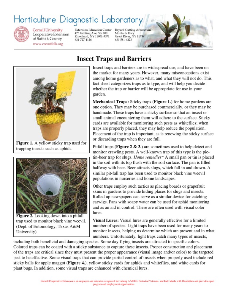 Insect Traps and Barriers | PDF | Insects | Insects And Humans