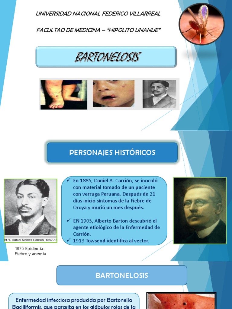 BARTONELOSIS | PDF | Patologia clinica | Especialidades Medicas