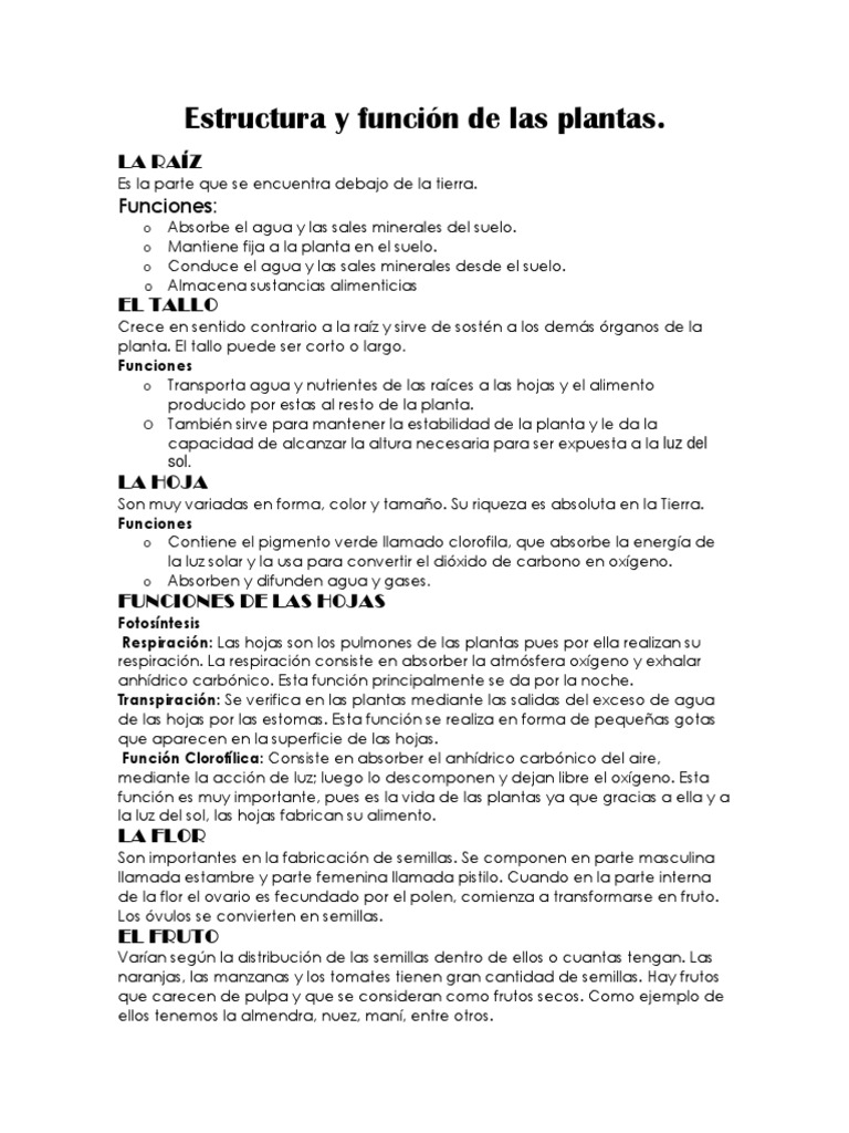 Estructura y Función de Las Plantas | PDF | Sistema nervioso | Sistema ...