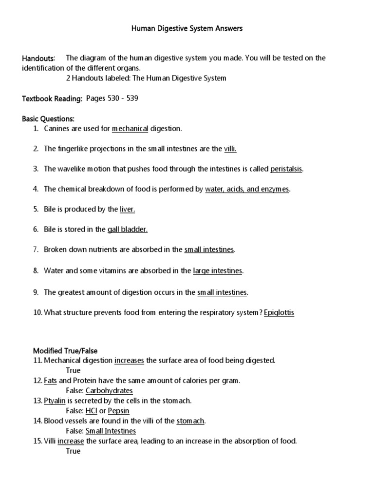 Review 4 Human Digestive System Answers | PDF | Digestion | Stomach