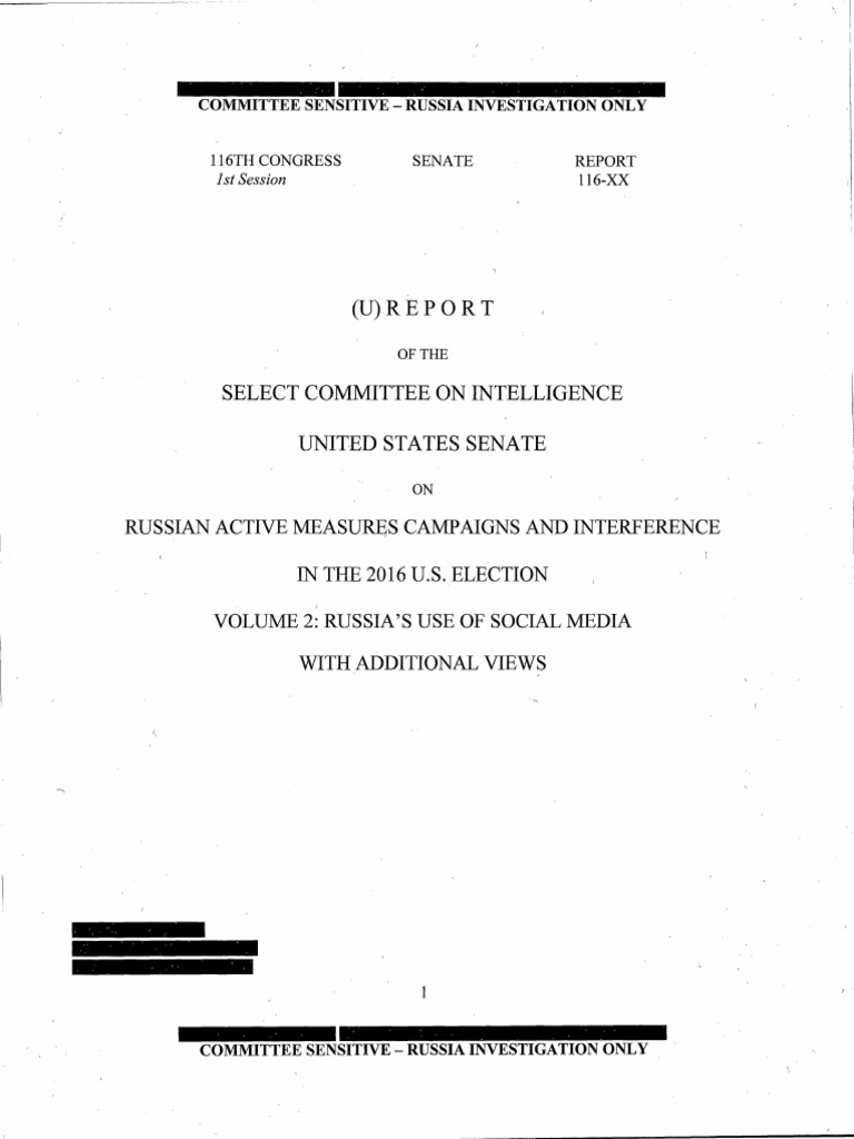 Senate Intel Report On Russian Election Interference (Volume 2) | PDF ...