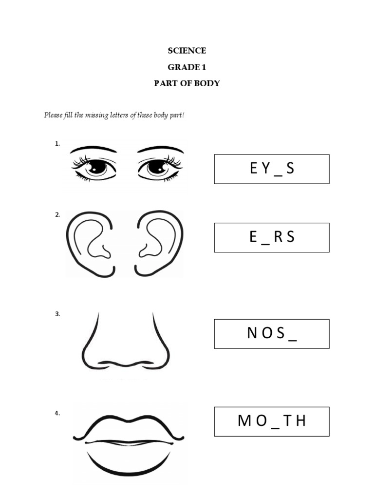 Science Grade 1 Part of Body | PDF