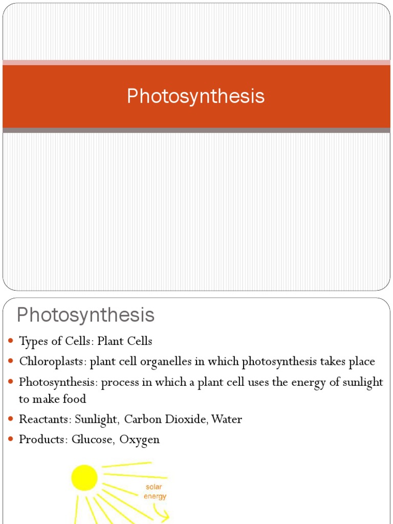 Photosynthesis Powerpoint | PDF