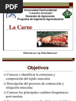 Practica 5 Estructura de La Carne | PDF | Músculo | Carne