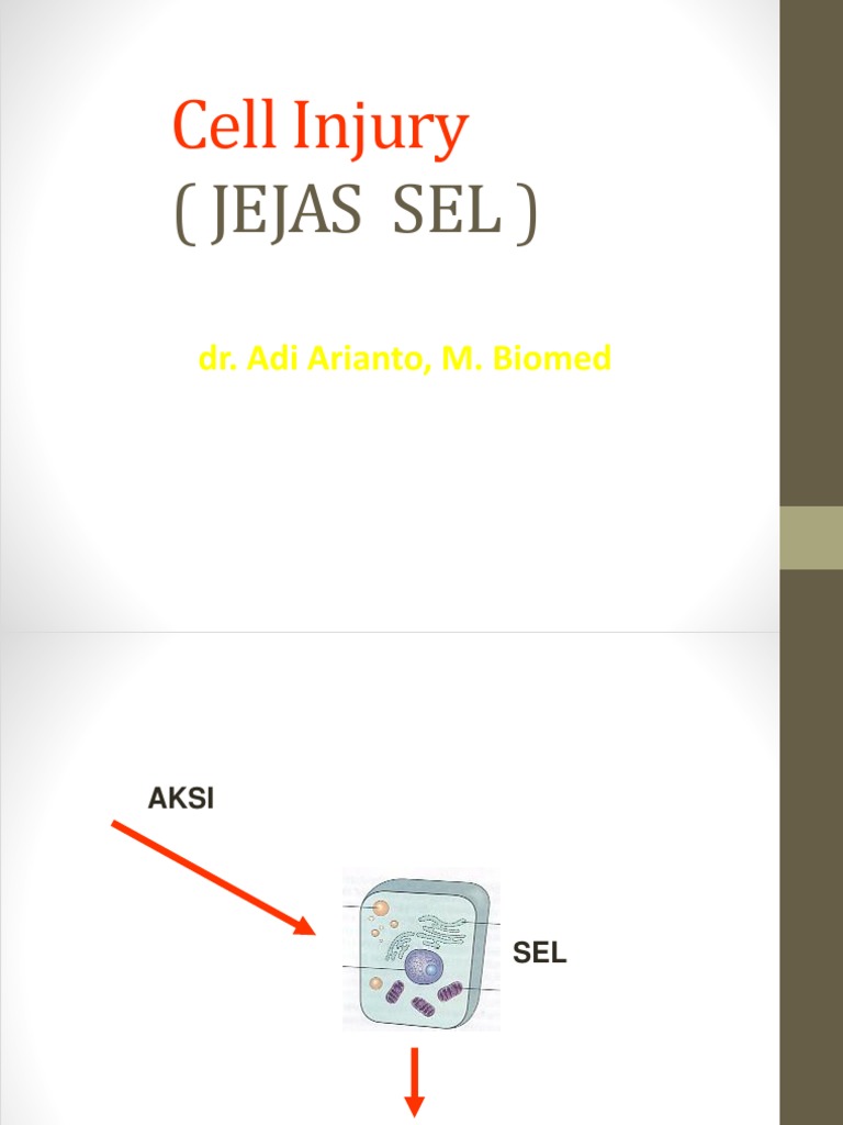 Cell Injury | PDF | Sains & Matematika