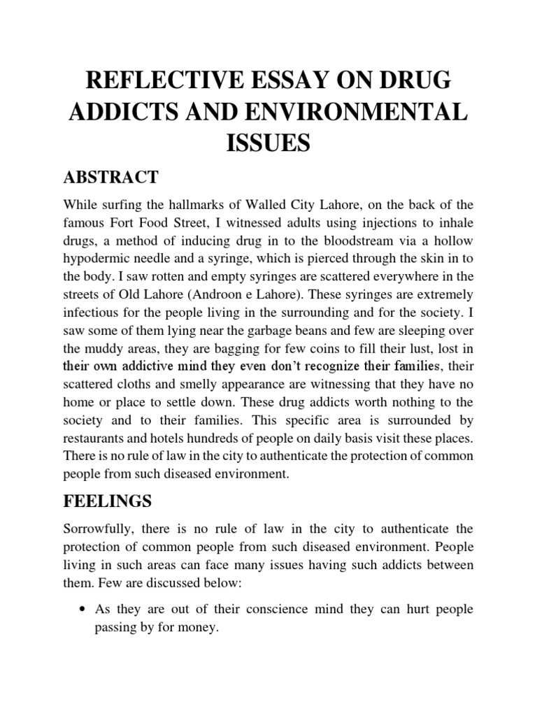 Reflective Essay On Drug Addicts and Environmental Issues | PDF ...