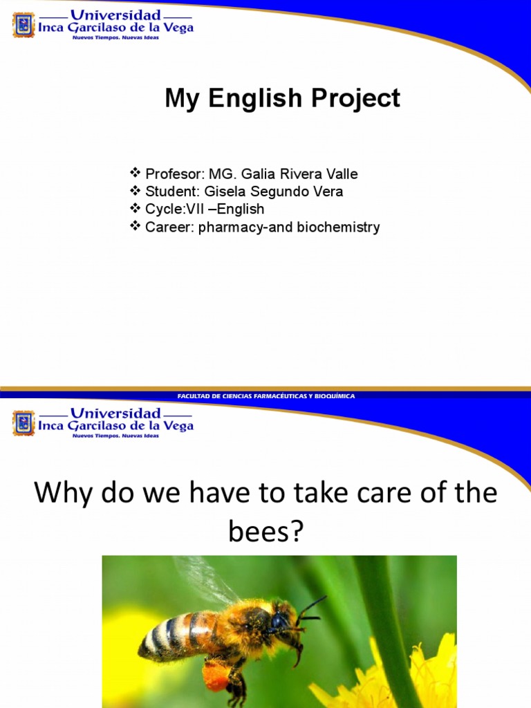 My English Project | PDF