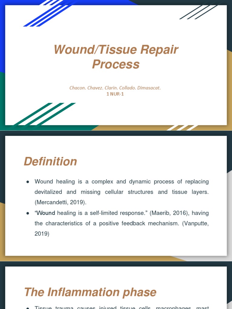 Wound/Tissue Repair Process: Chacon. Chavez. Clarin. Collado. Dimasacat ...
