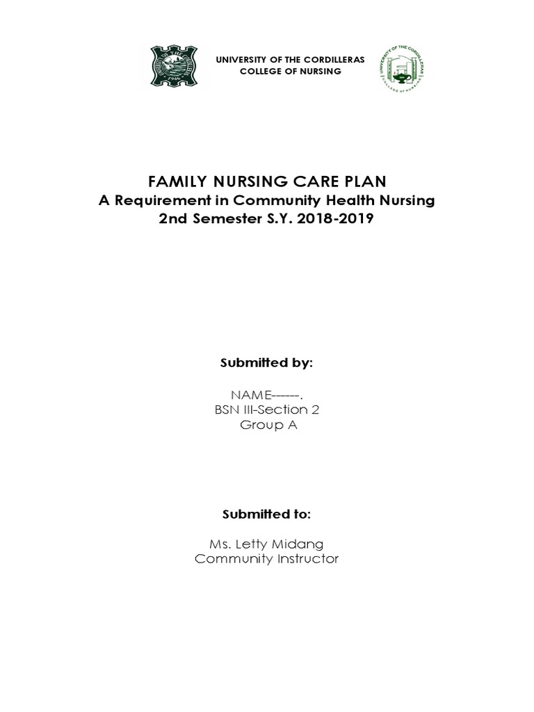 FNCP Format | PDF | Health Care | Nursing
