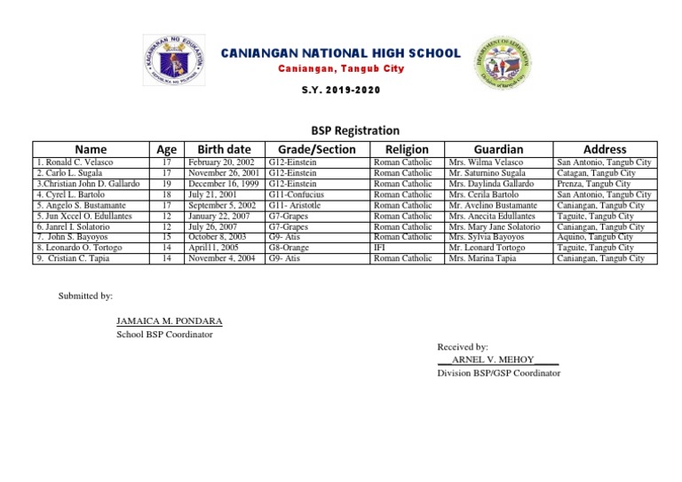BSP Registration 2019 | PDF