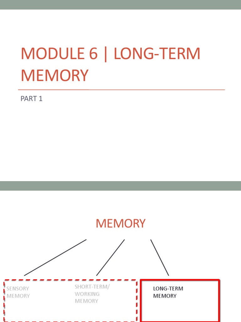 Module6 LongTerm Memory1 Class | PDF | Long Term Memory | Memory