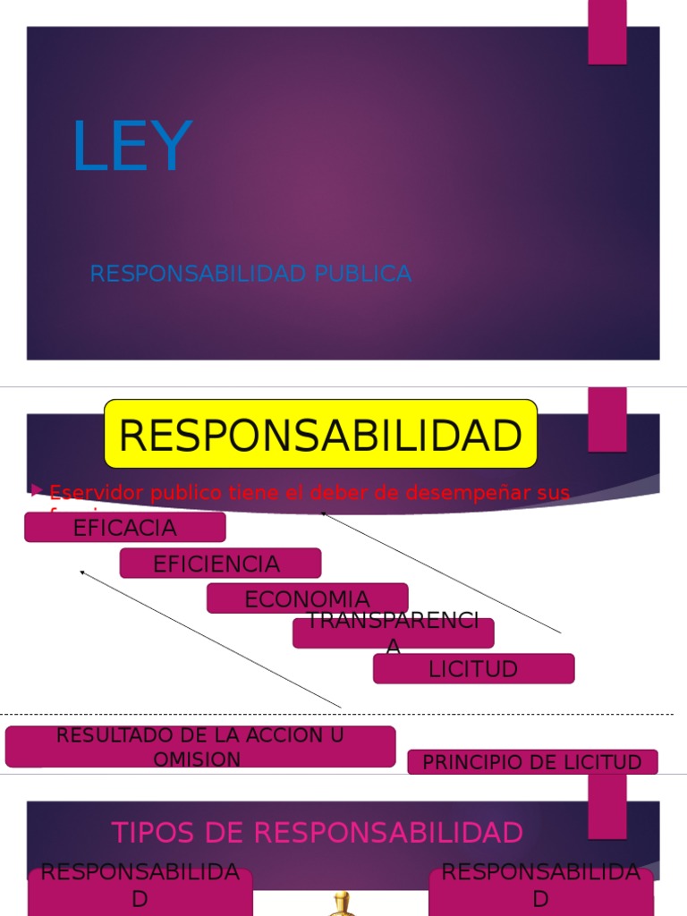 Tipos de Responsabilidad Pública | PDF | Derecho penal | Justicia penal