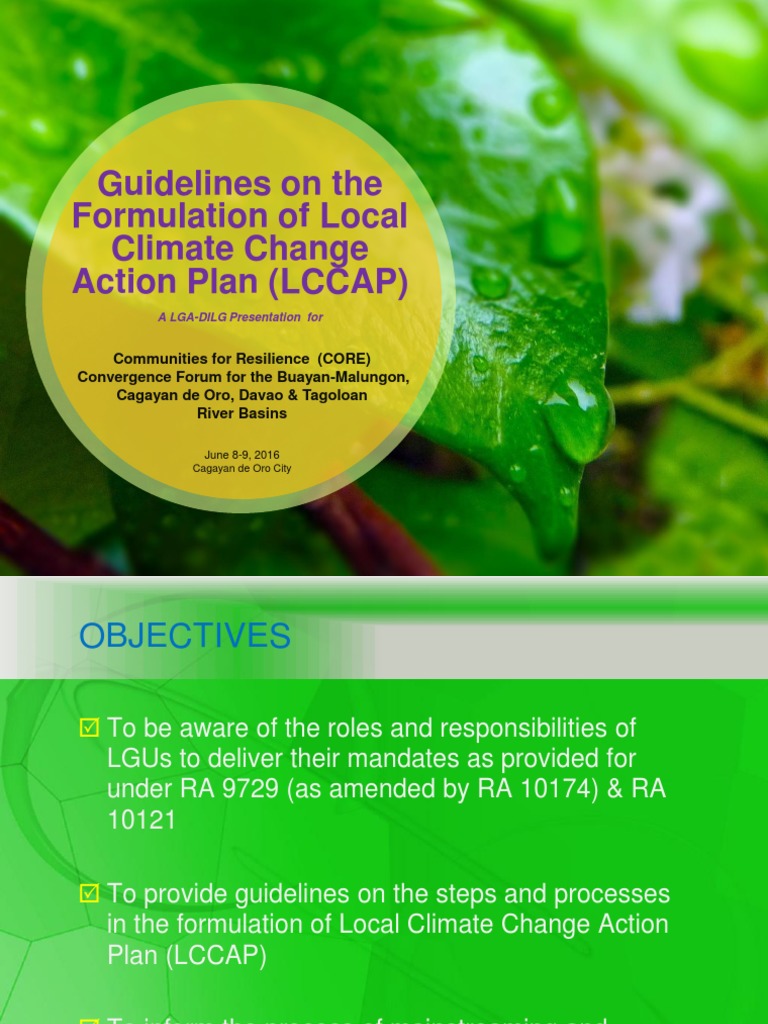 LCCAP Formulation PDF | PDF | Hazards | Disaster Risk Reduction