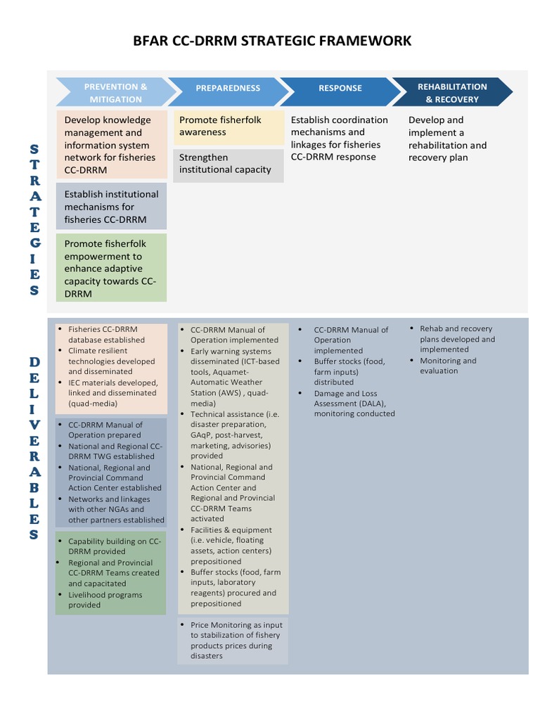 CC-DRRM Strategic Framework | PDF | Emergency Management | Business
