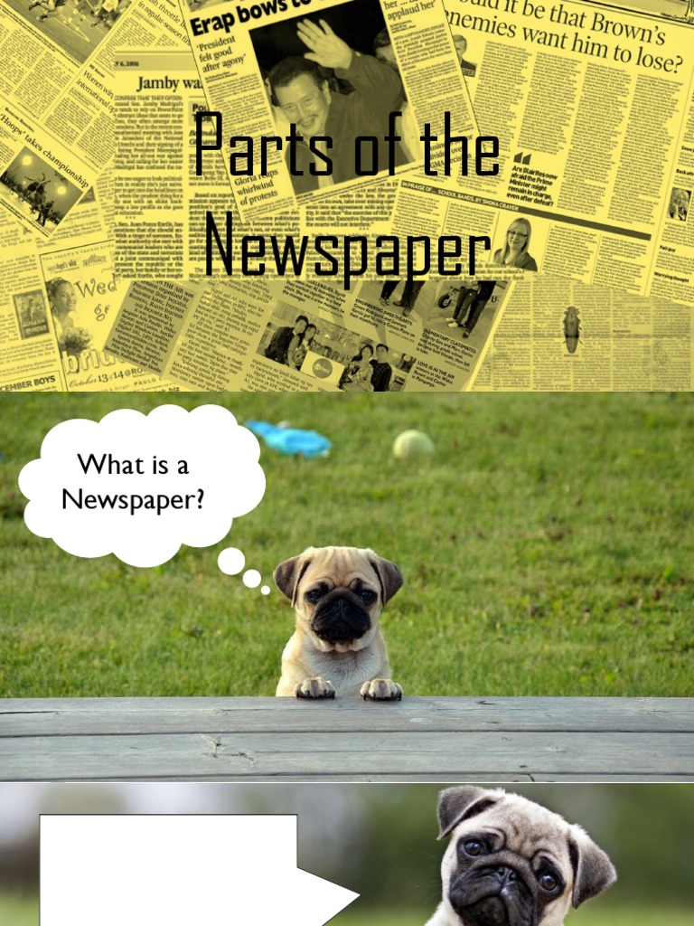 Components of a Newspaper Explained | PDF | Newspapers | Typefaces