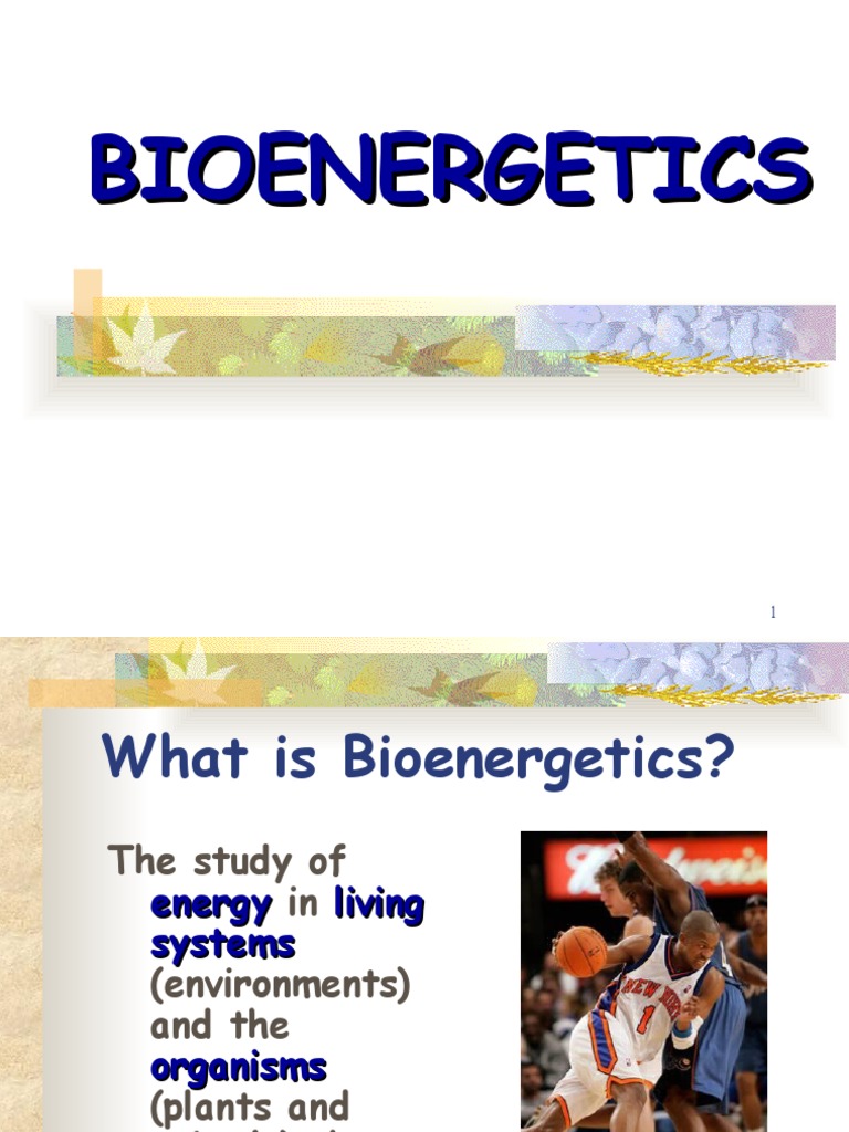 Bioenergetics | PDF | Metabolic Pathway | Enzyme