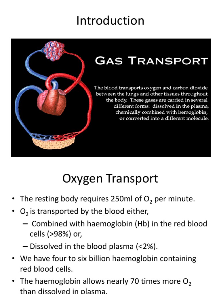 Gas Transport | PDF | Hemoglobin | Carbon Dioxide
