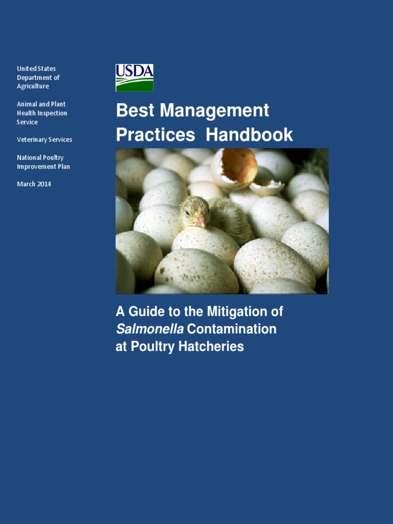 Hatchery Management | PDF | Chicken | Disinfectant