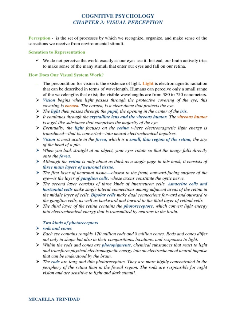 Chapter 3: Visual Perception: Cognitive Psychology | PDF | Perception ...