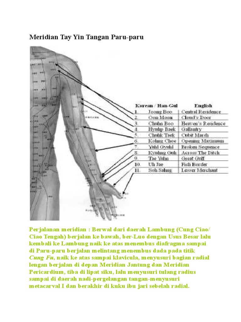 Meridian Tay Yin Tangan | PDF