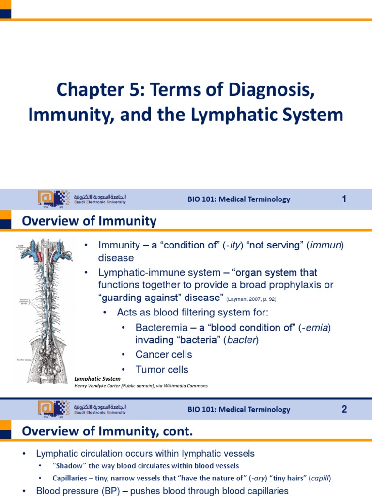 Medical Terminology: Immunity & Diagnosis | PDF | Lymphatic System ...