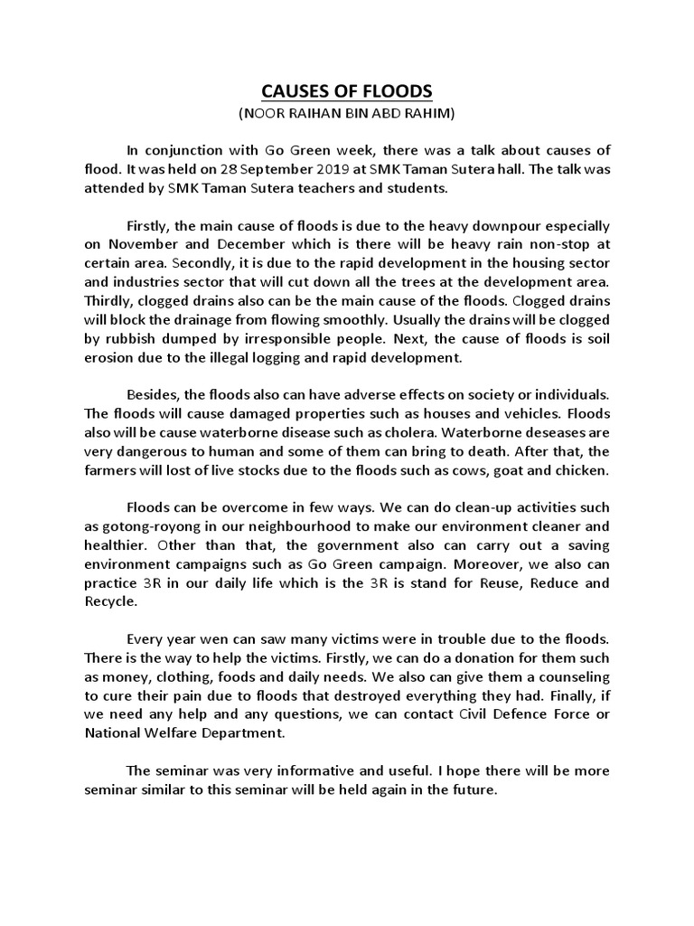 Essay Causes of Flood | PDF
