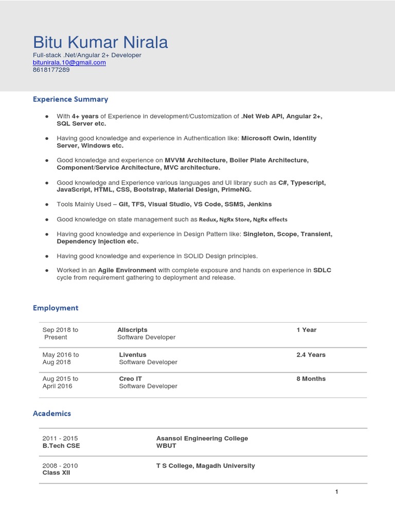 Bitu Kumar Nirala: Experience Summary | PDF | Web Application | Application Software
