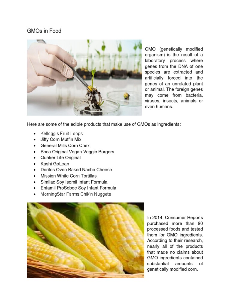 GMOs in Food | PDF | Genetic Engineering | Agriculture