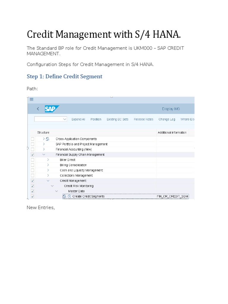 Credit Management With S4 HANA | PDF | Sap Se | Information Technology