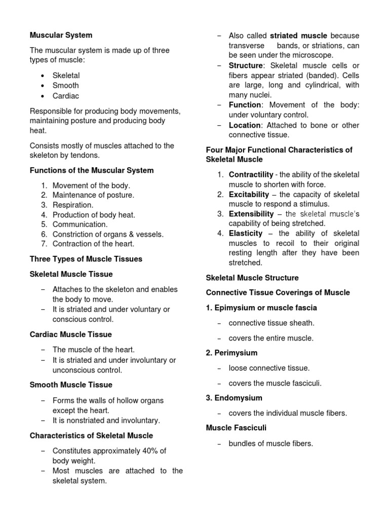 The Anatomy and Physiology of the Muscular System: A Comprehensive ...