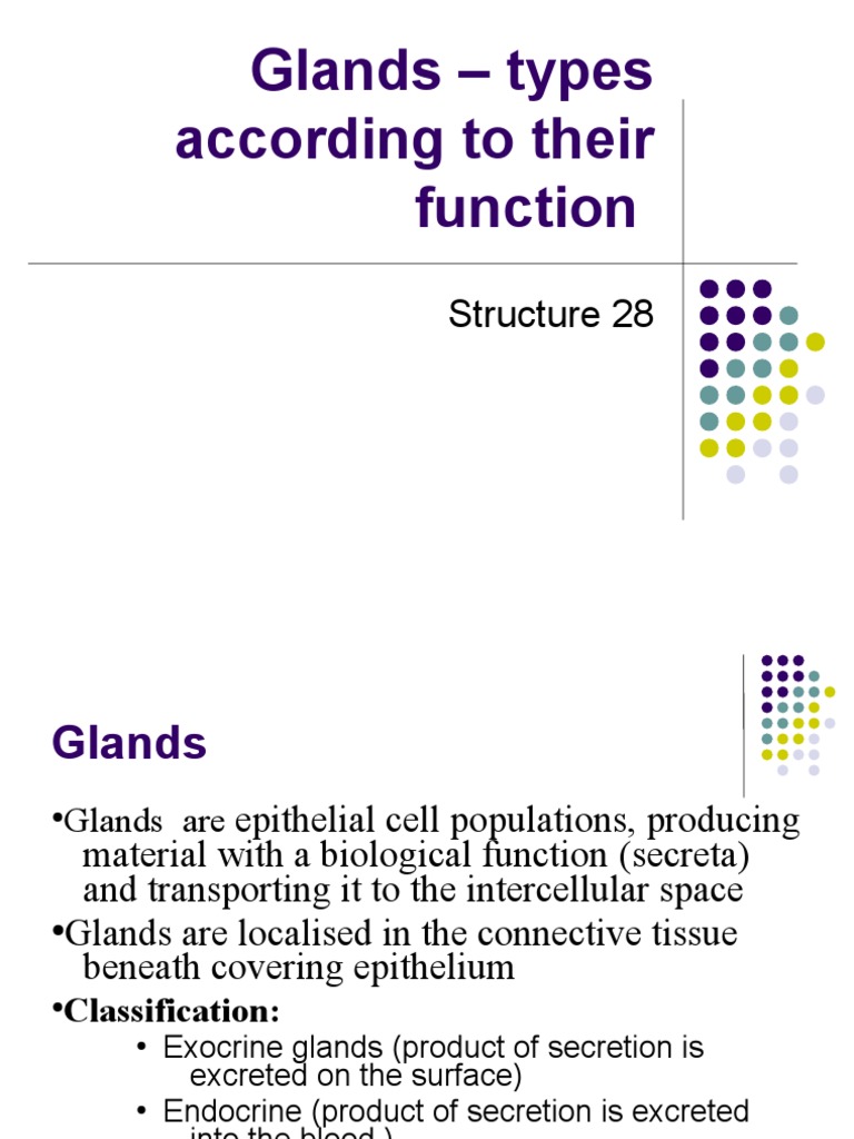 Glands - Types According To Their Function: Structure 28 | PDF ...