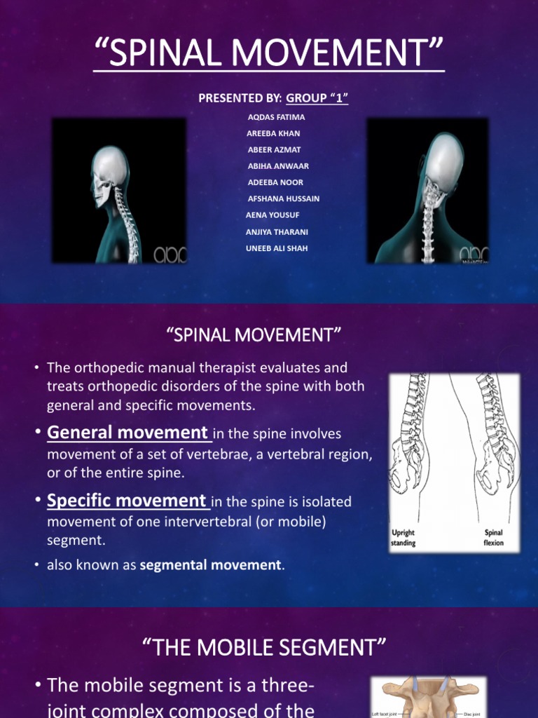 Spinal Range of Movement | PDF | Vertebral Column | Vertebra