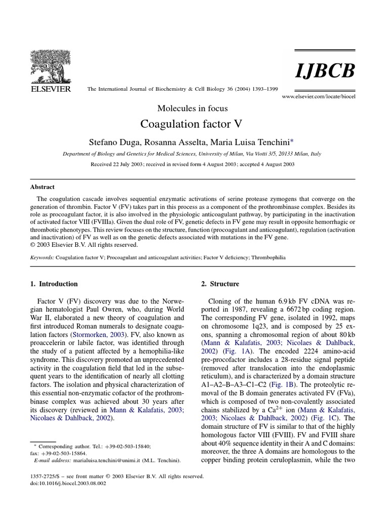 Faktor V PDF | PDF | Coagulation | Proteolysis