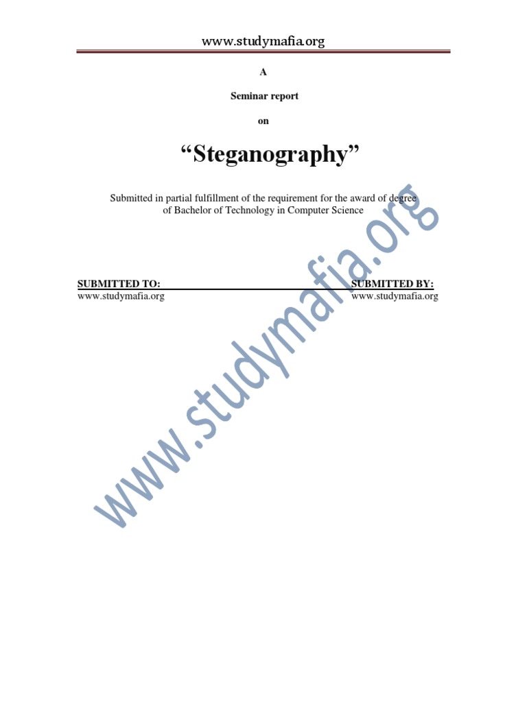Basic Steganography Report | PDF | Cryptography | Telecommunications