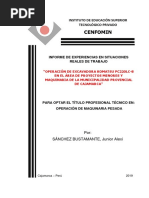 LITOSOLES | PDF | Suelo | Roca (geología)