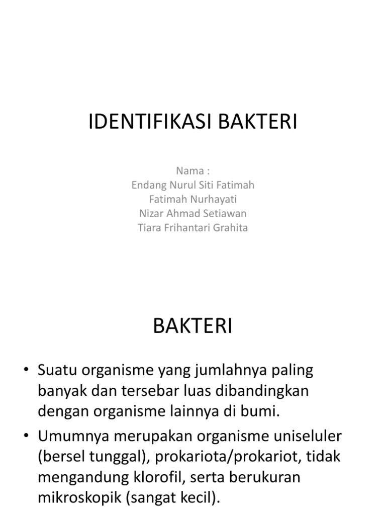 Identifikasi Bakteri | PDF