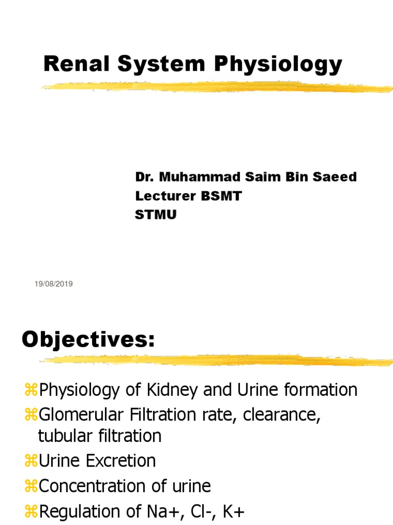 Renal Physiology | PDF | Kidney | Endocrine System