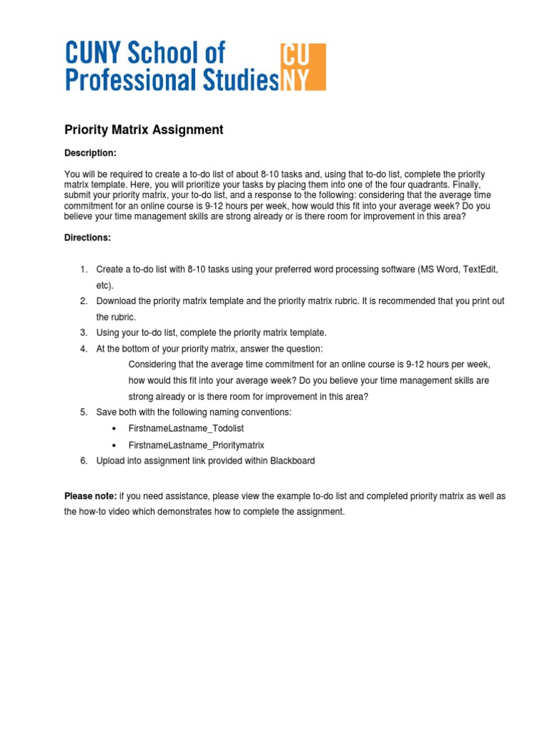 Priority Matrix Instructions | PDF