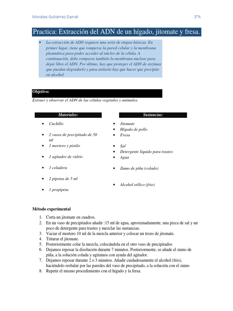 Extracción y observación del ADN de células vegetales y animales | PDF | Membrana celular ...
