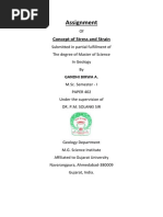 Understanding the Rule of V's in Geology | PDF | History