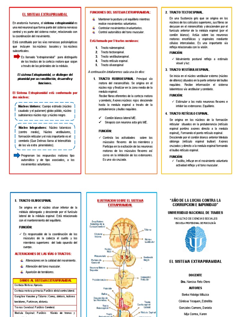Sistema Extrapiramidal