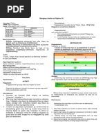 DULA Powerpoint | PDF