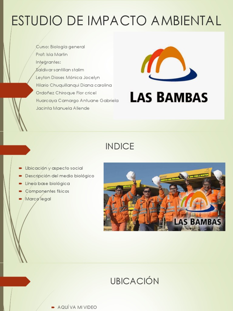 Eia Las Bambas | PDF | Naturaleza