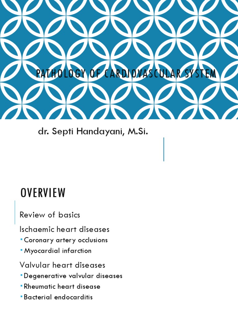 Cardiovascular System Pathology Overview | PDF | Coronary Circulation ...