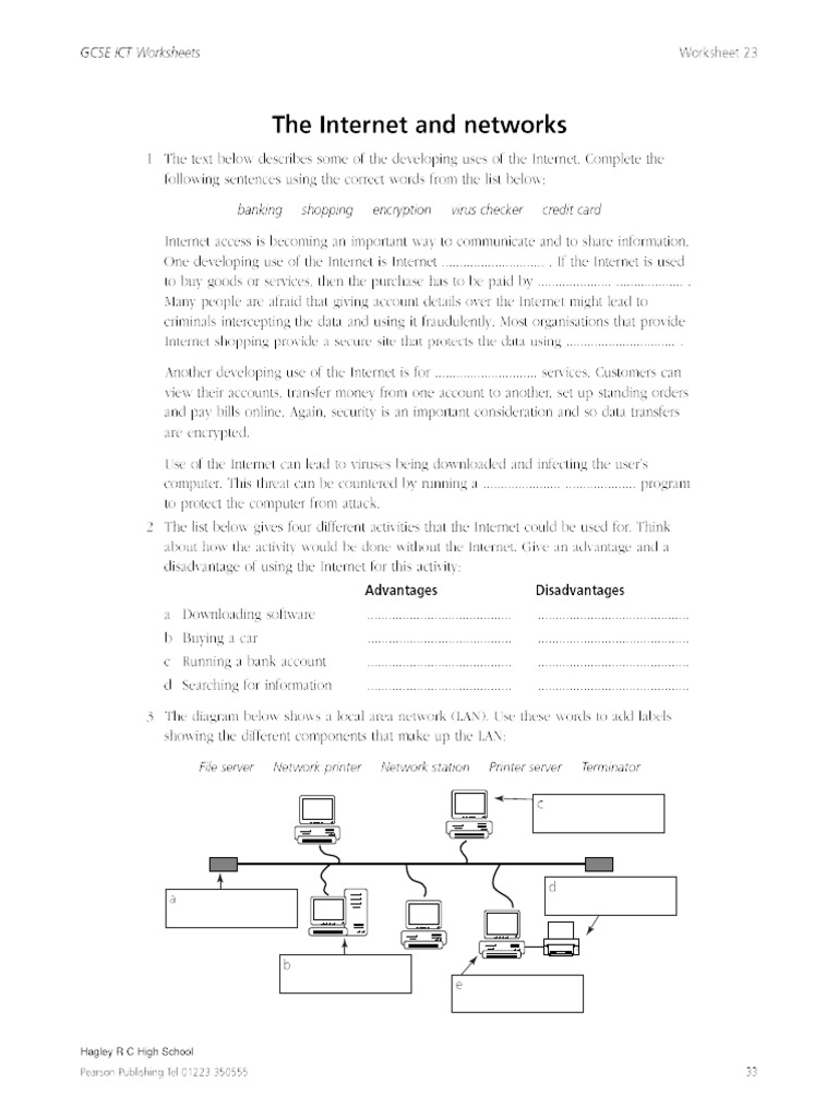 Internet Worksheets | PDF