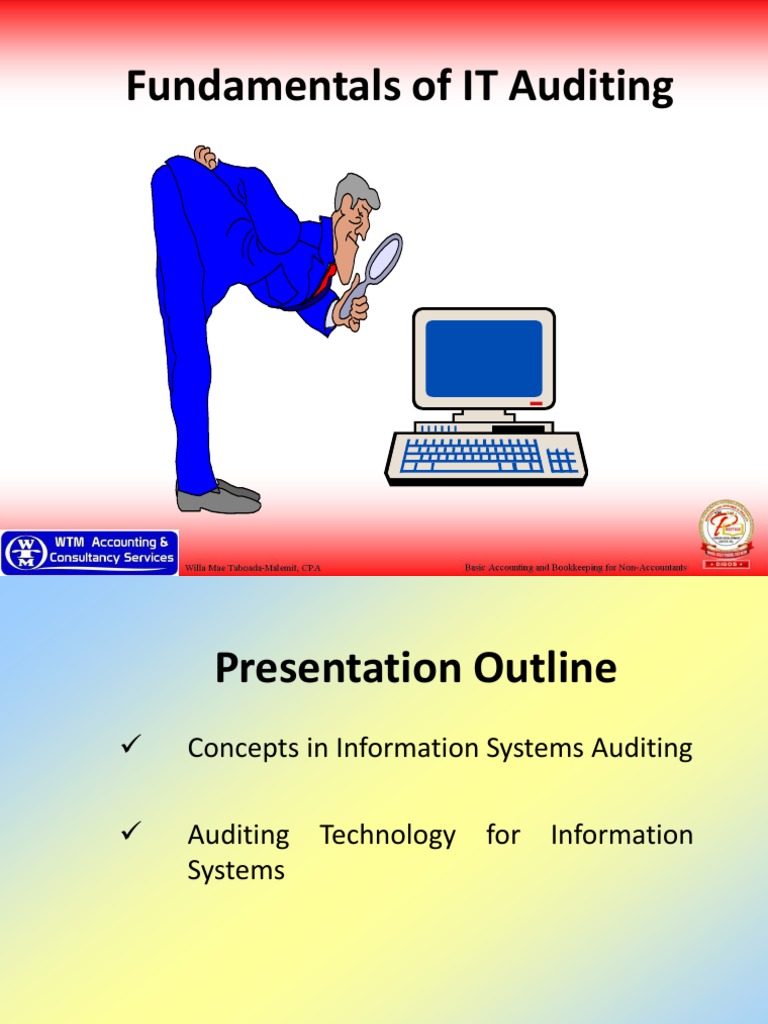 IT Auditing | PDF | Audit | Computer Program