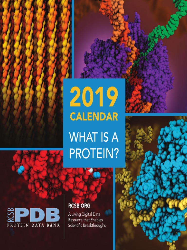 2019 Calendar Web | PDF | Biomolecular Structure | Alpha Helix