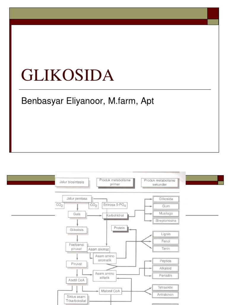 Glikosida PDF | PDF