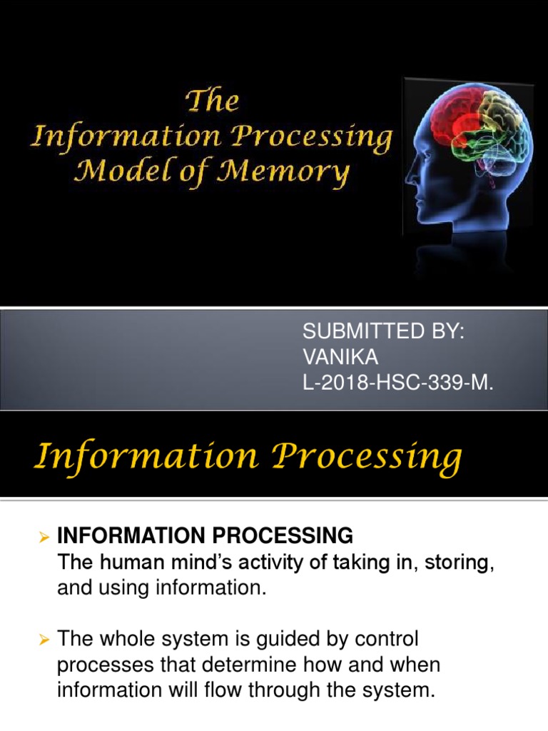 Information Processing Theory | PDF | Memory | Working Memory